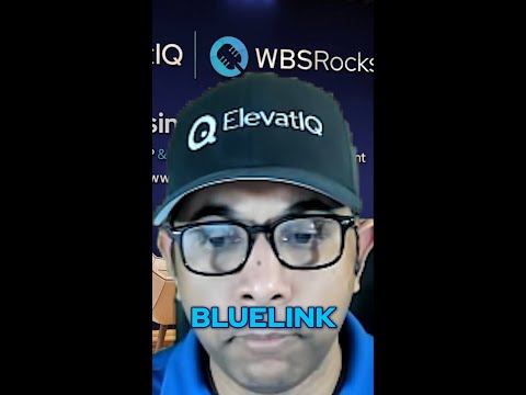 Bluelink ERP: The Ultimate Solution for Smaller Companies