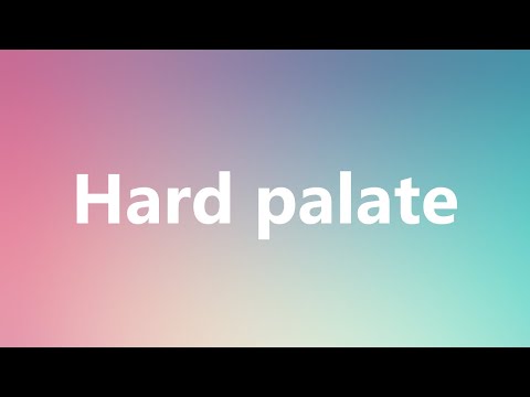 Hard palate - Medical Meaning and Pronunciation