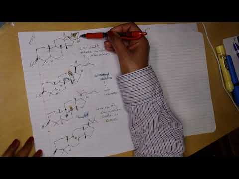 Lanosterol Synthesis