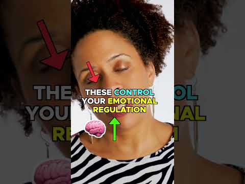 The 3 main brain chemicals that affect your mood #shorts