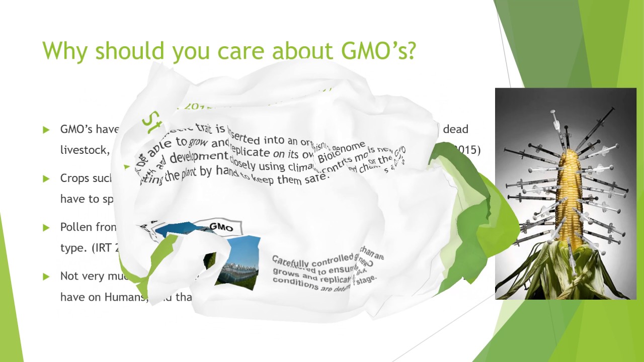 GMO Video Project