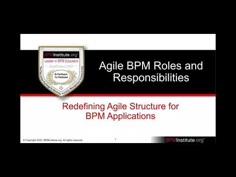 Agile BPM Roles and Responsibilities Short Preview