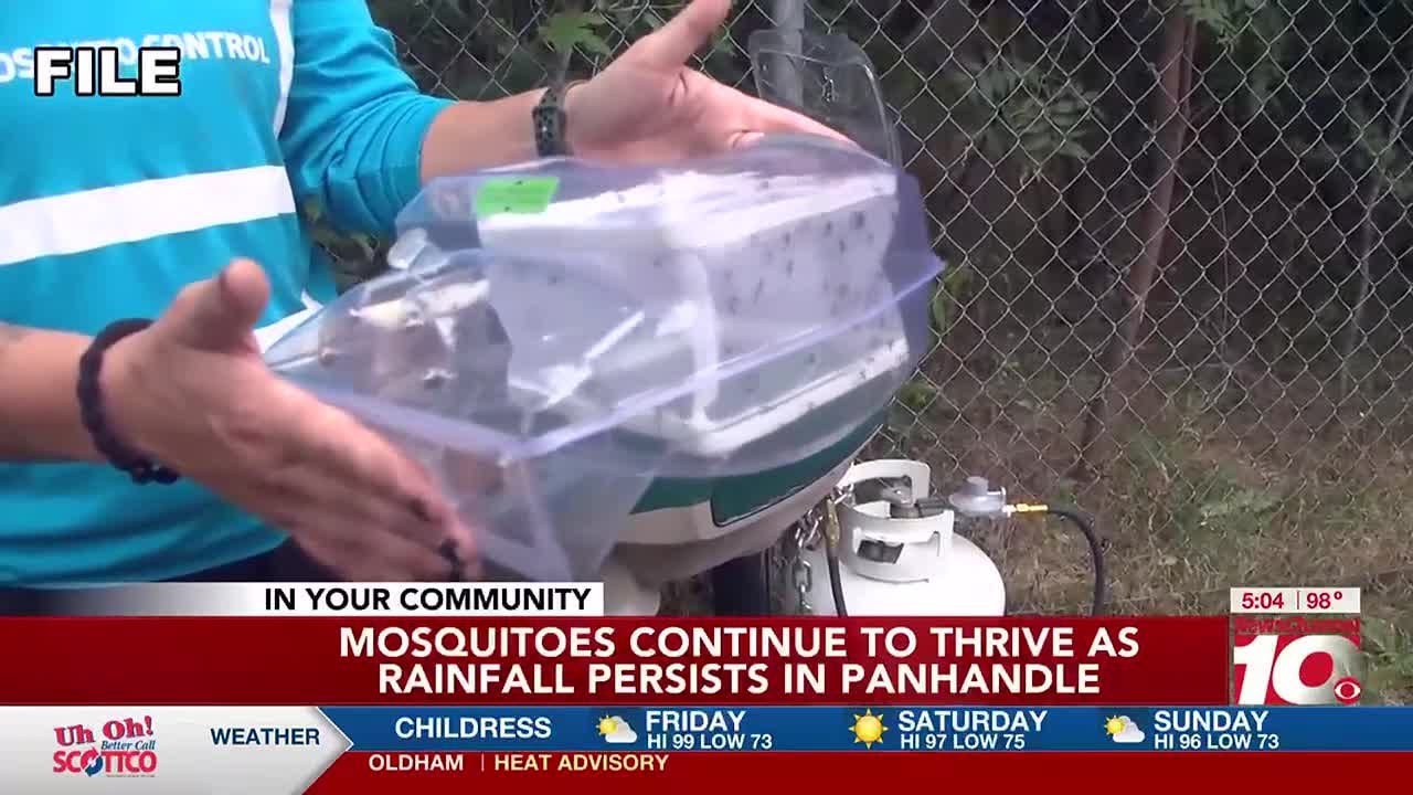 Mosquitoes continue to thrive as rainfall persists in Tx Panhandle