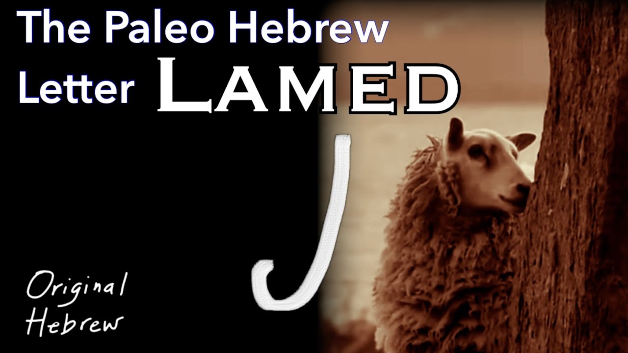 12. Lamed | Paleo Hebrew Alphabet | THE LORD is My Shepherd, a New Heart and New Spirit, and more