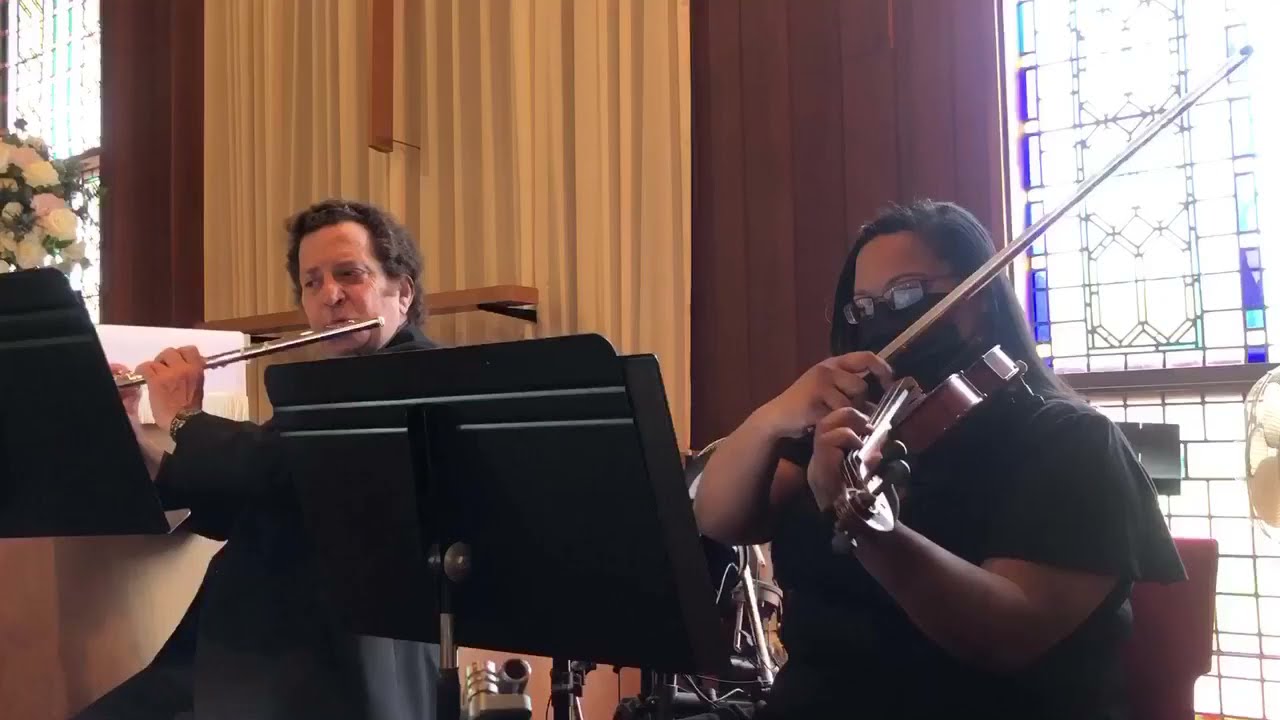 Hire The Blue Moon Music Company - String Quartet in Bay Shore, New York