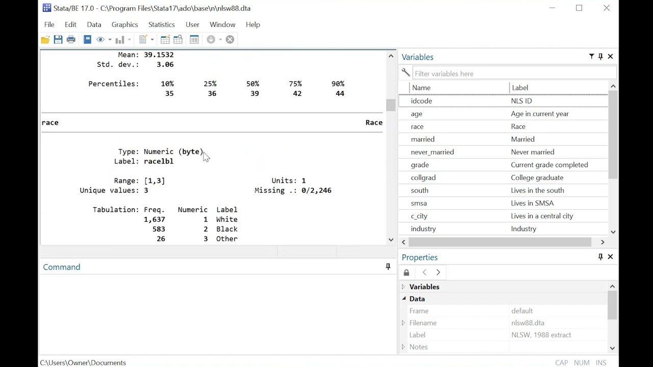 Codebook Command in Stata