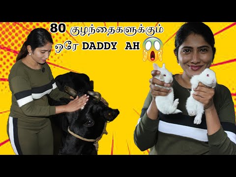 Animal Farm in kotagiri #jollywithjulie #kotagiri #julie #trending