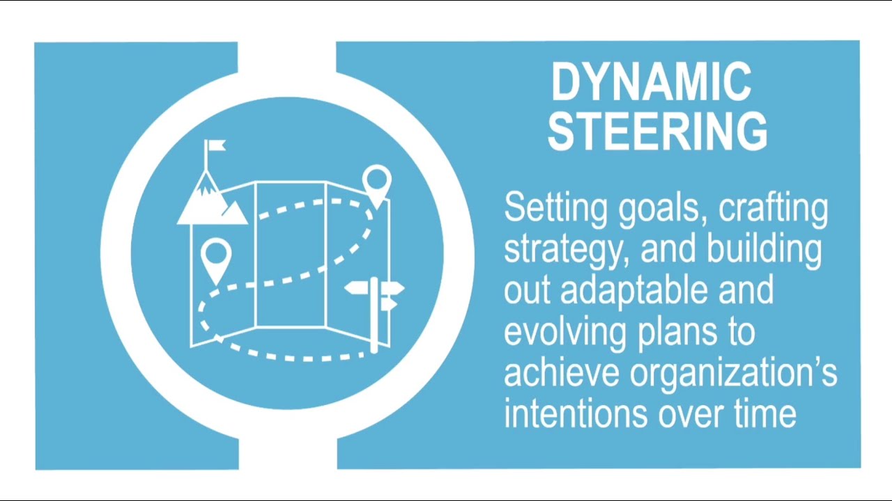 Leadership Skill Set - Dynamic Steering - Definition and Leadership Proficiency Benchmarks
