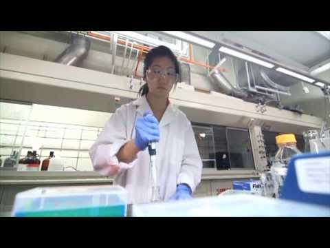 Laboratory Personal Protective Equipment (PPE)