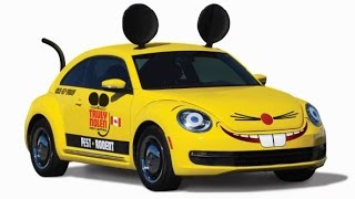 3 Best Pest Control in Halifax, NS - Expert Recommendations