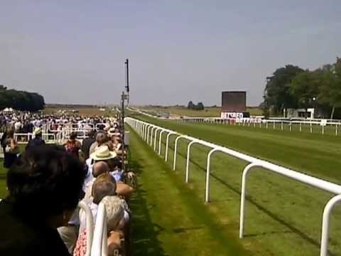 Horse Racing Today - Newmarket Races Winner
