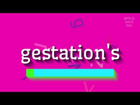 HOW TO SAY GESTATION'S?