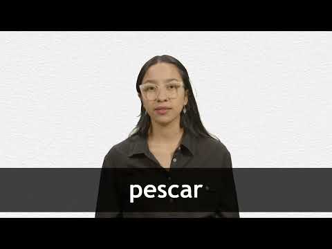 English Translation of “PESCAR” | Collins Spanish-English Dictionary