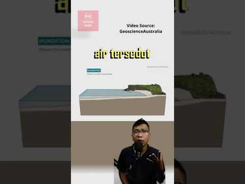 Air Surut Sebelum Tsunami, Ini Penyebabnya! #short #shortvideo #tsunami