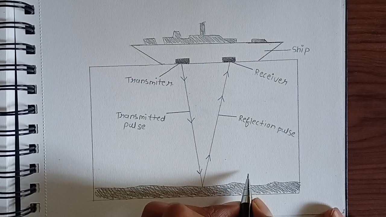The SONAR technique, how to Draw Diagram for the SONAR technique #class9science