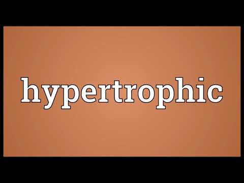 Hypertrophic Meaning