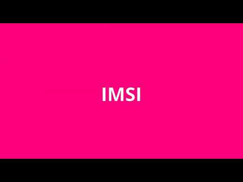 what is the meaning of IMSI.