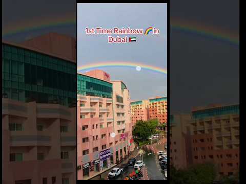 Nature's Canvas Unveiled: UAE's Premier Rainbow Stuns After the Rainfall in Dubai"