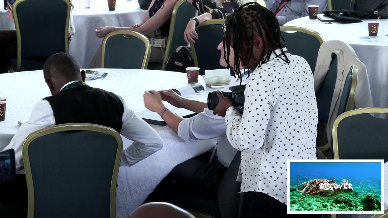 UN Ocean Decade Programme: A Global Ocean Free from the Harmful Impacts of Pollution by 2050