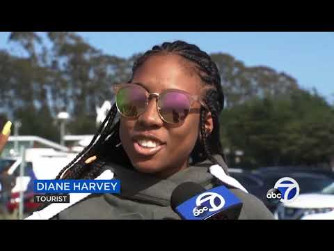 Gusty winds cause problems in the Bay Area