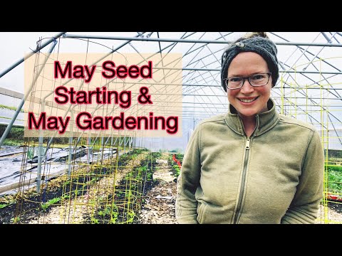 May Gardening and Seeds to Start | PNW Zone 8b