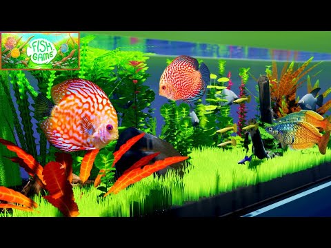 Steam Community :: Video :: Greatest Aquarium Game Ever Made? | First ...