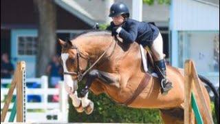 Learning Center Videos | US Equestrian