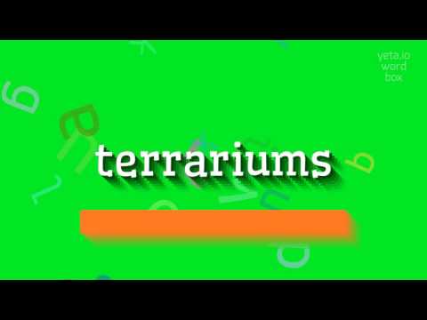 How to say "terrariums"! (High Quality Voices)