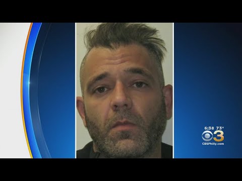 Mark D’Amico biography: 13 things about Burlington County, New Jersey ...