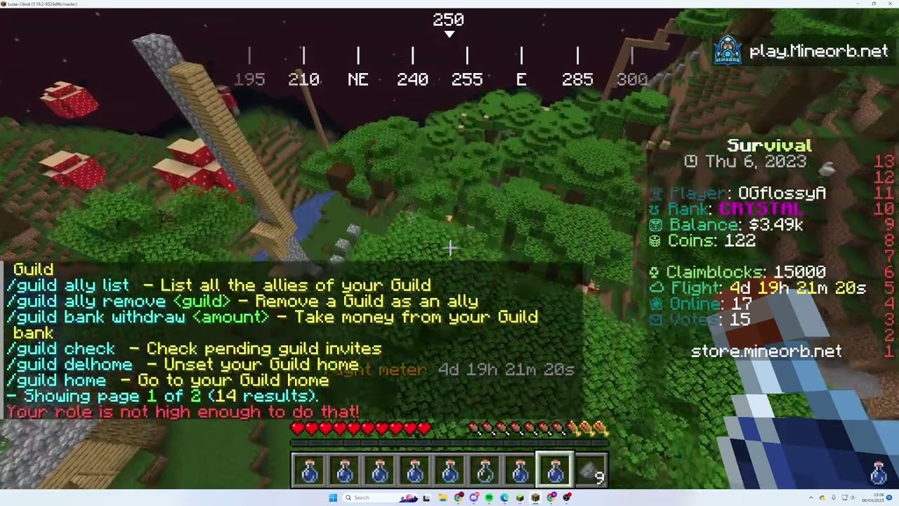 How to use the Guild plugin on MineOrb