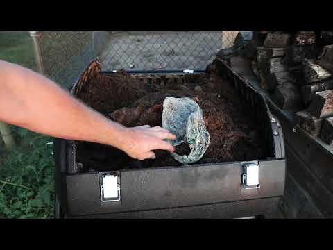 10 Day Composting Plastic Bag Update