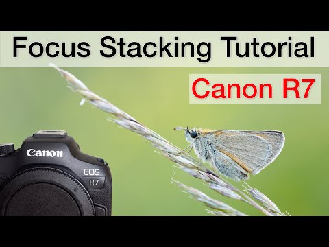 Canon R7: Focus stacking (5137C002)