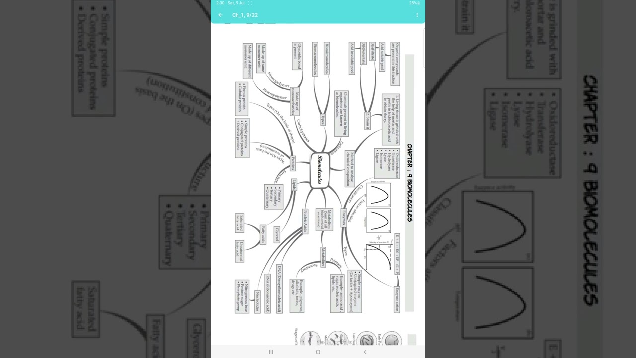 Biomolecules mind map class 11 biology for Neet aspirant
