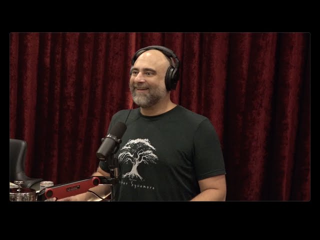 Joe Rogan jokingly suggests Elon Musk's DOGE should look into box ...