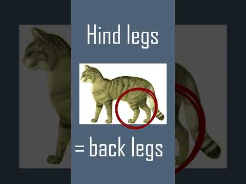 What does the word "Hindsight" mean?