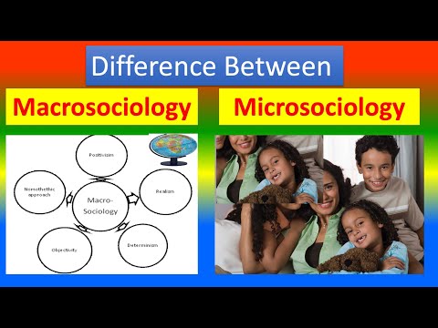 Differences Between Macro sociology and Micro sociology | Macro vs. Micro Sociology: Explained
