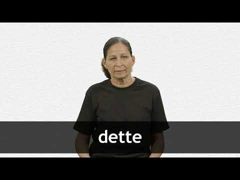 English Translation of “DETTE” | Collins French-English Dictionary
