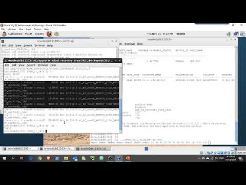 Oracle RMAN Database Full Cold Backup Demo – Ahmed AbdelFattah Blog