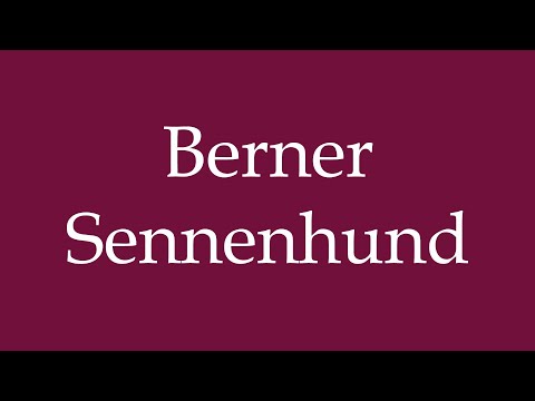 How to Pronounce ''Berner Sennenhund'' (Bernese Mountain Dog) Correctly in German