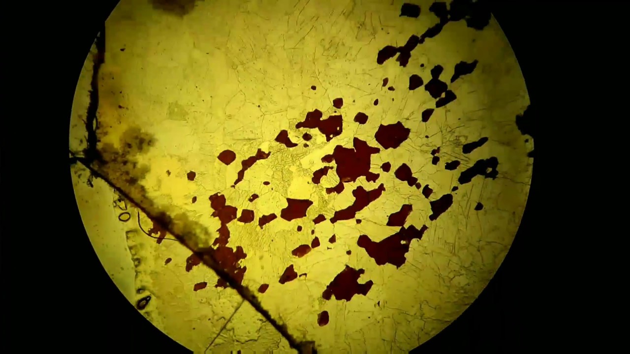 Pyroxenite Thin Section Sample 3