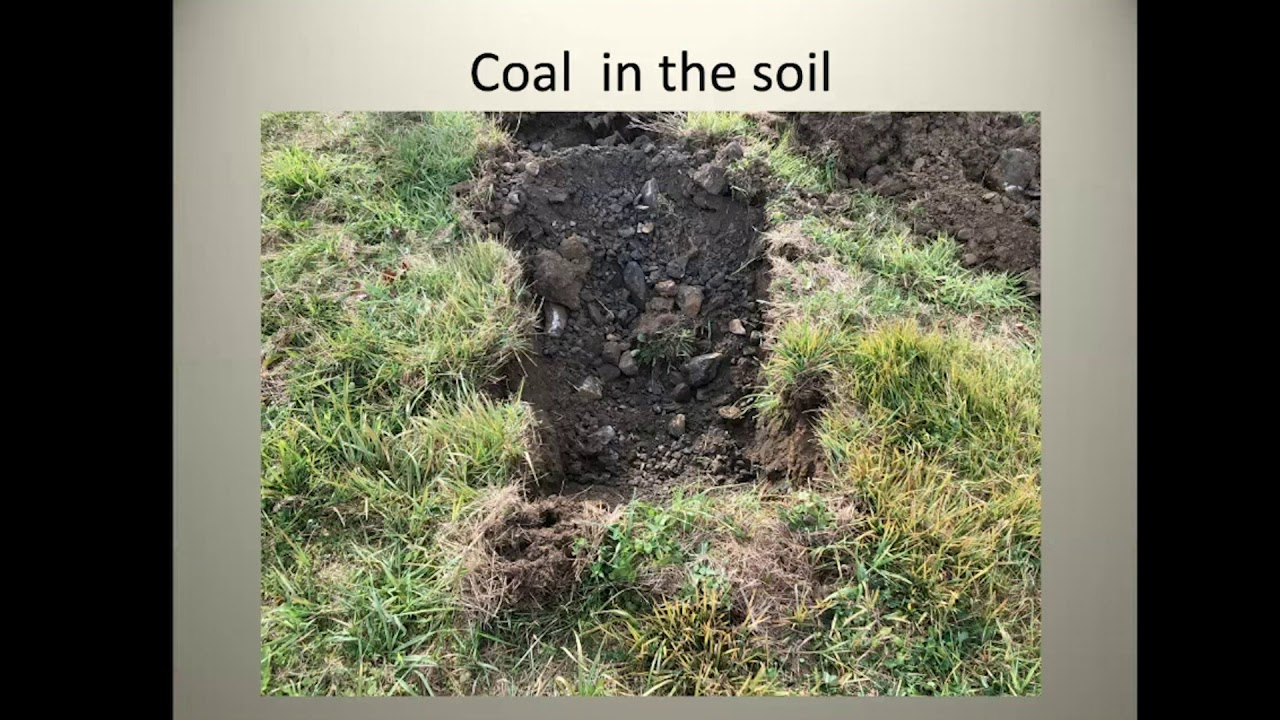 Urban Tree Summit: Flight 93 Memorial Landscape Presentation