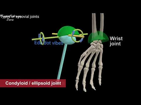 Types of synovial joints #medicalstudent