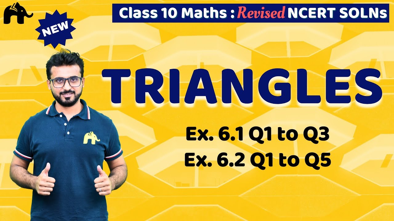 Triangles Class 10 Maths | Revised NCERT Solutions | Chapter 6 Exercise 6.1 6.2 Questions