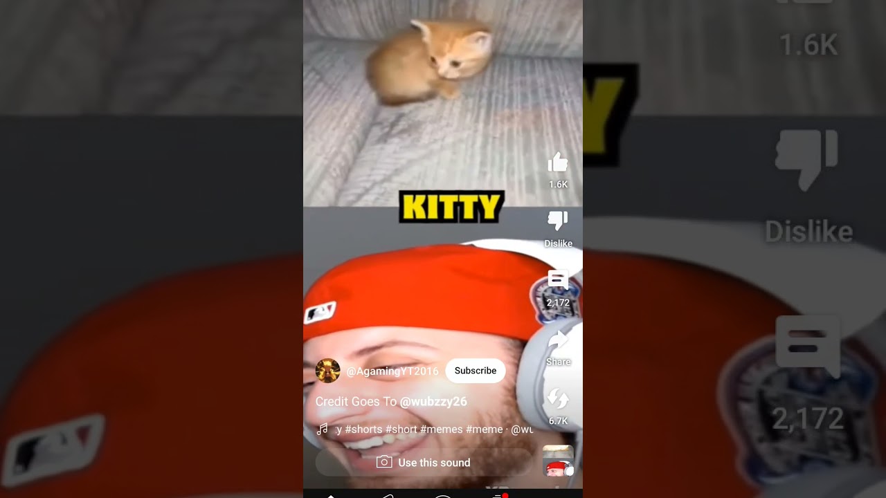 aww kitty aaaaaaaaaaaaaaaaaaaaa#funny#memes#aww kitty aaaaa#shorts