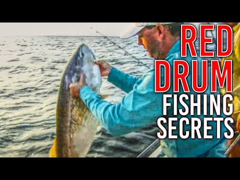 The Ultimate Guide to Redfish Fishing in NC