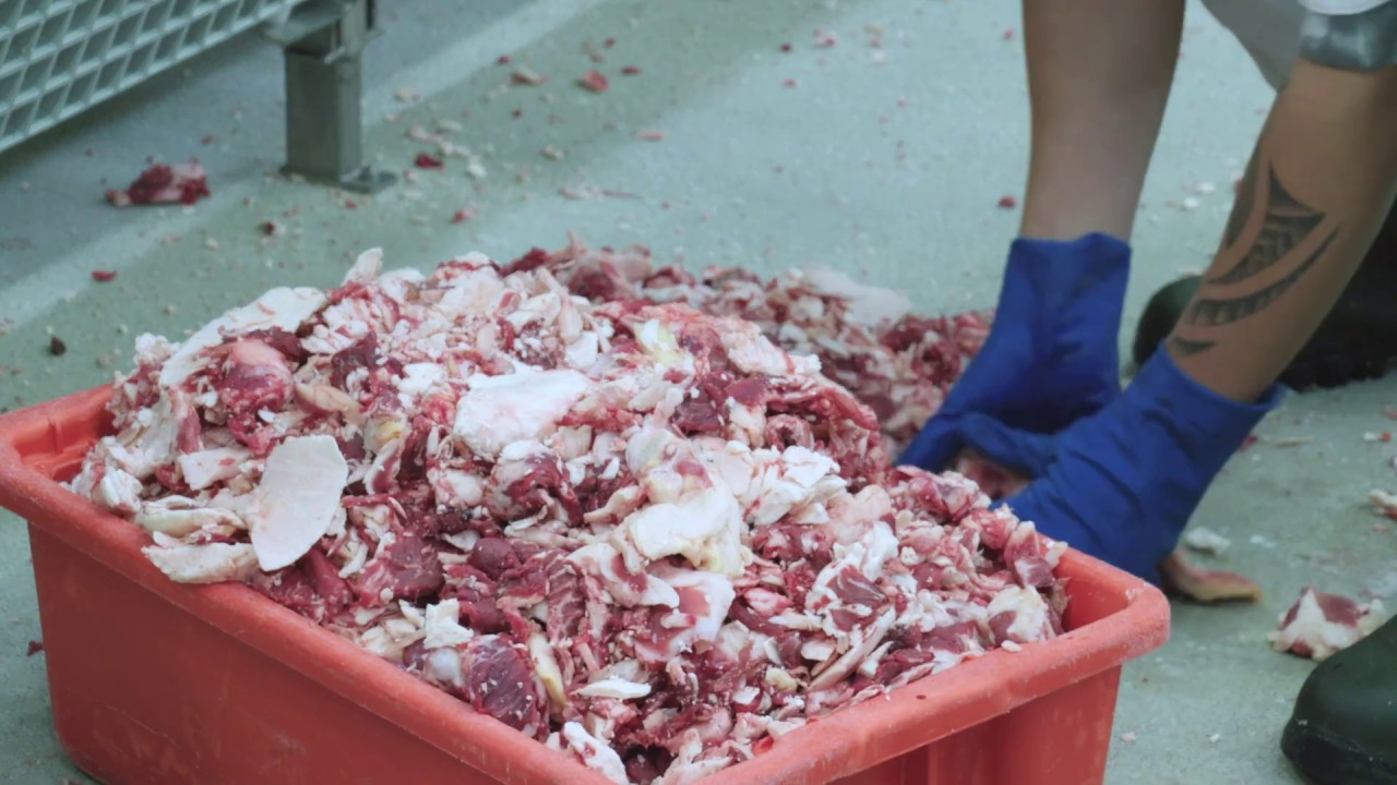 Meat industry essentials