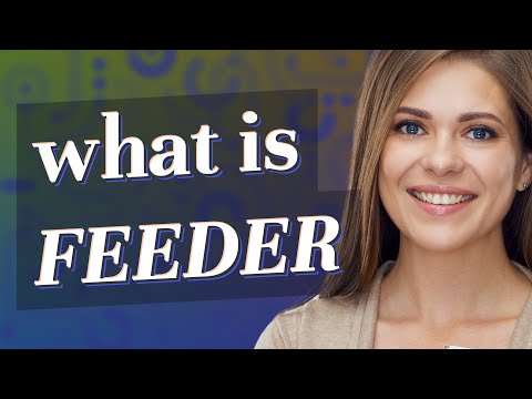 Feeder | meaning of Feeder