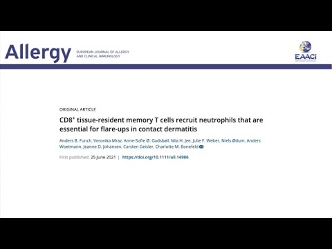 CD8+ tissue-resident memory T cells recruit neutrophils that are essential for flare-ups in ACD