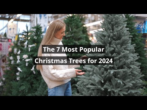 7 Most Popular Christmas Trees 2024: Top Trends