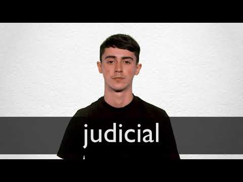 JUDICIAL Synonyms | Collins English Thesaurus